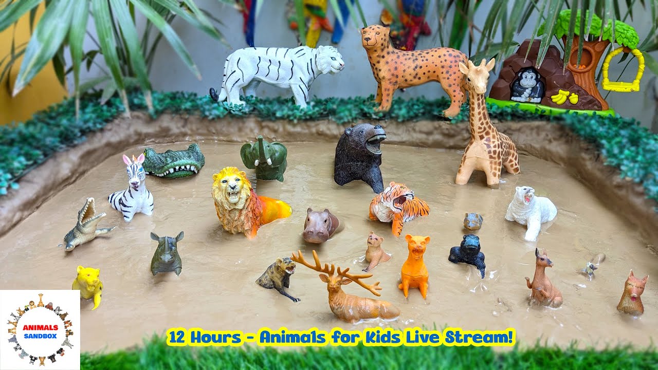 Kids Videos for Kids Live with Ryan & Zayan | Learn Zoo, Farm and Wild ...