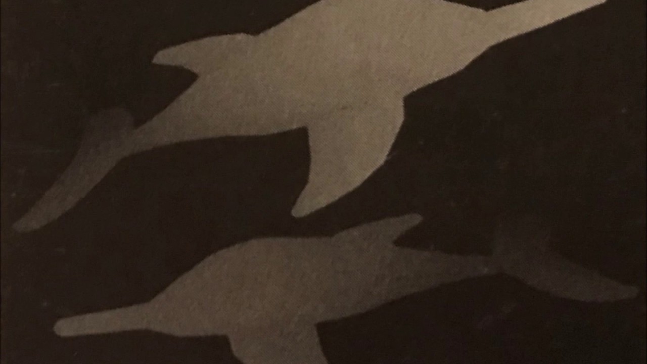 3 Animals STEREOGRAMS - YouTube