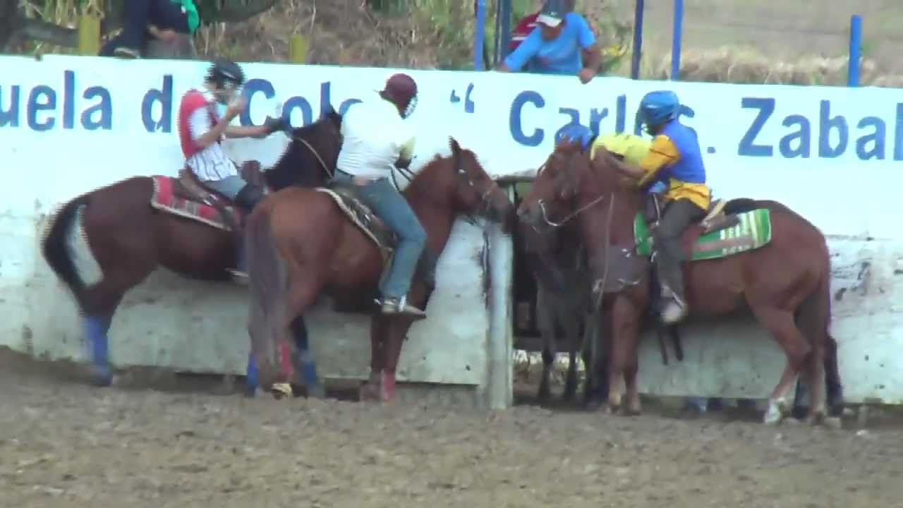 Toros Coleados - Gustavo Hernández, José García, Victor Caldera y ...
