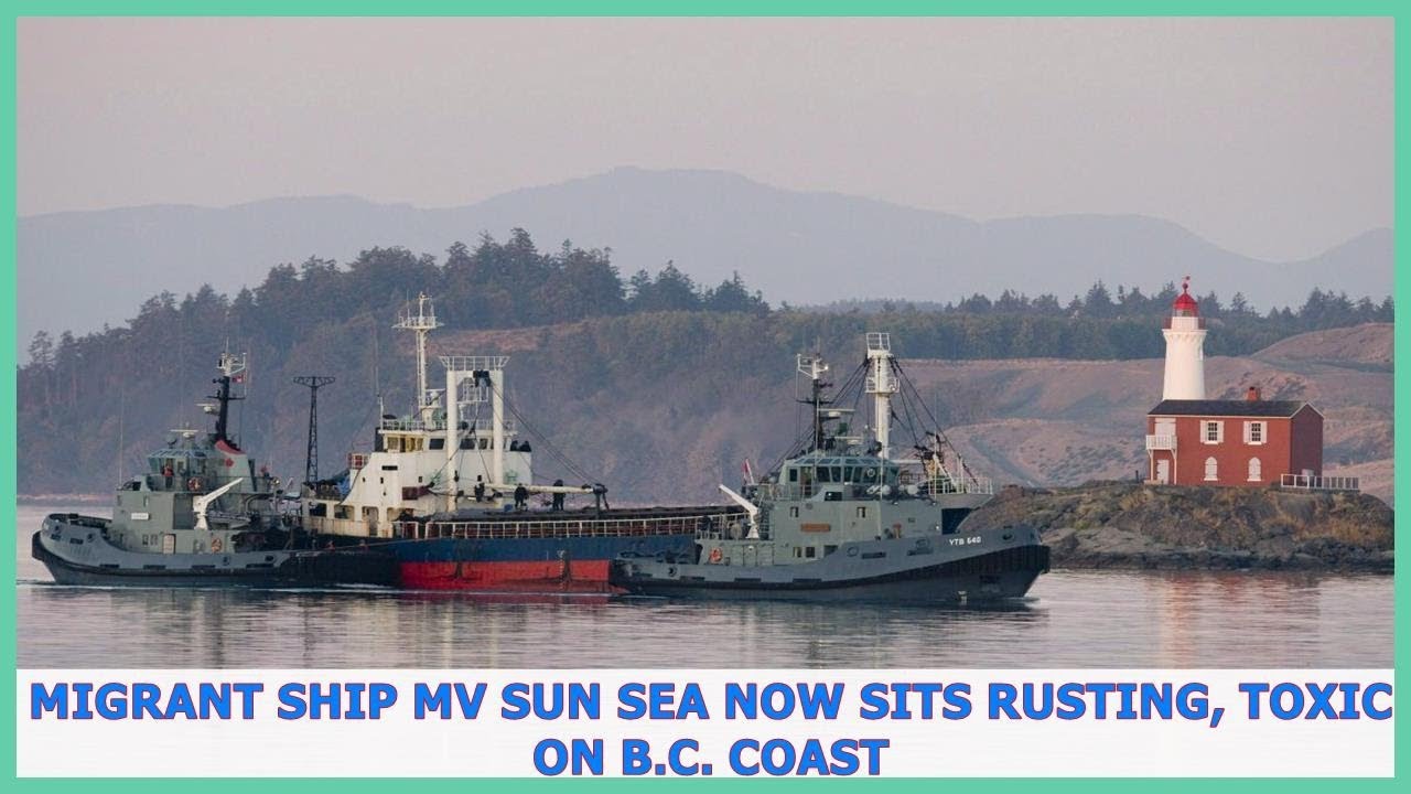 News TV | Migrant ship MV Sun Sea now sits rusting, toxic on B.C. coast ...