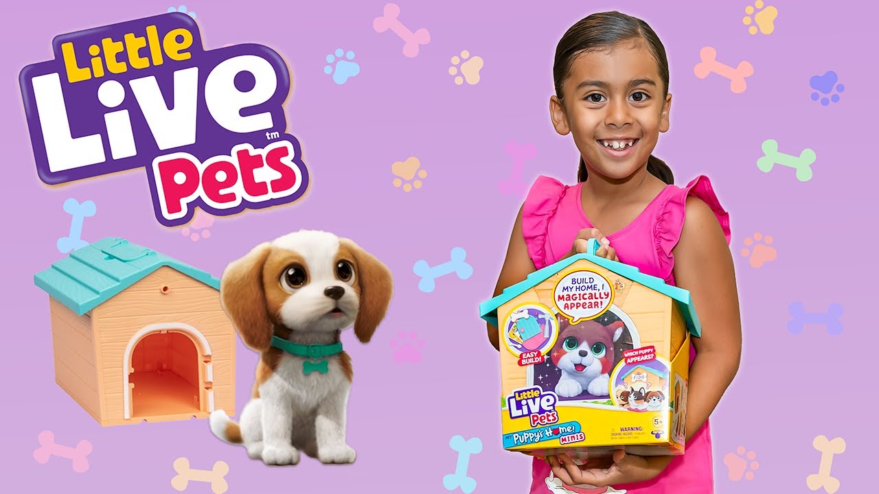 Little Live Pets 🐶 My first puppy!! - YouTube