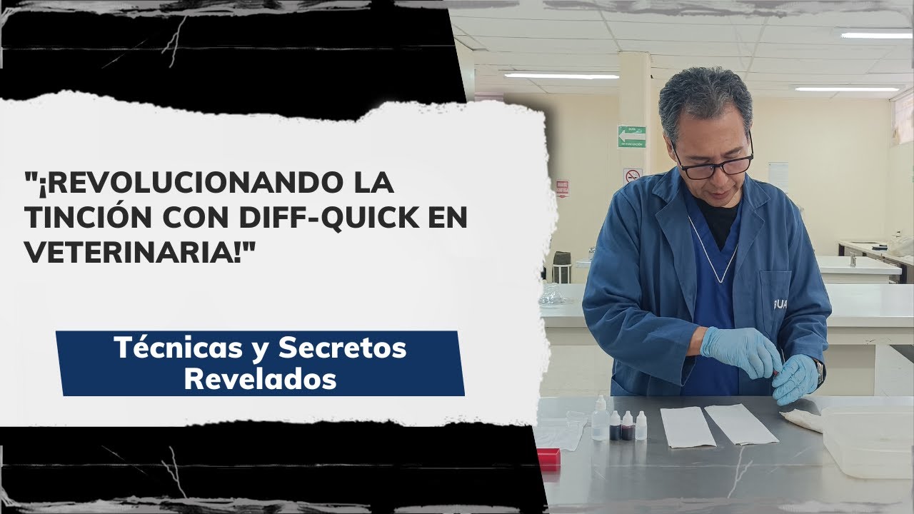 "¡Revolucionando la Tinción con Diff-Quick en Veterinaria: Técnicas y Secretos Revelados!" - YouTube