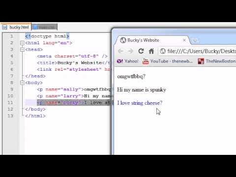HTML5 Tutorial - 5 - Attribute Selectors - YouTube