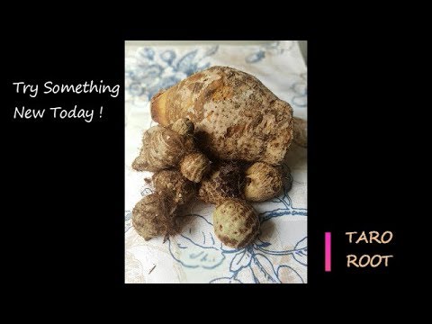 What is TARO? How to USE TARO ROOT! - YouTube