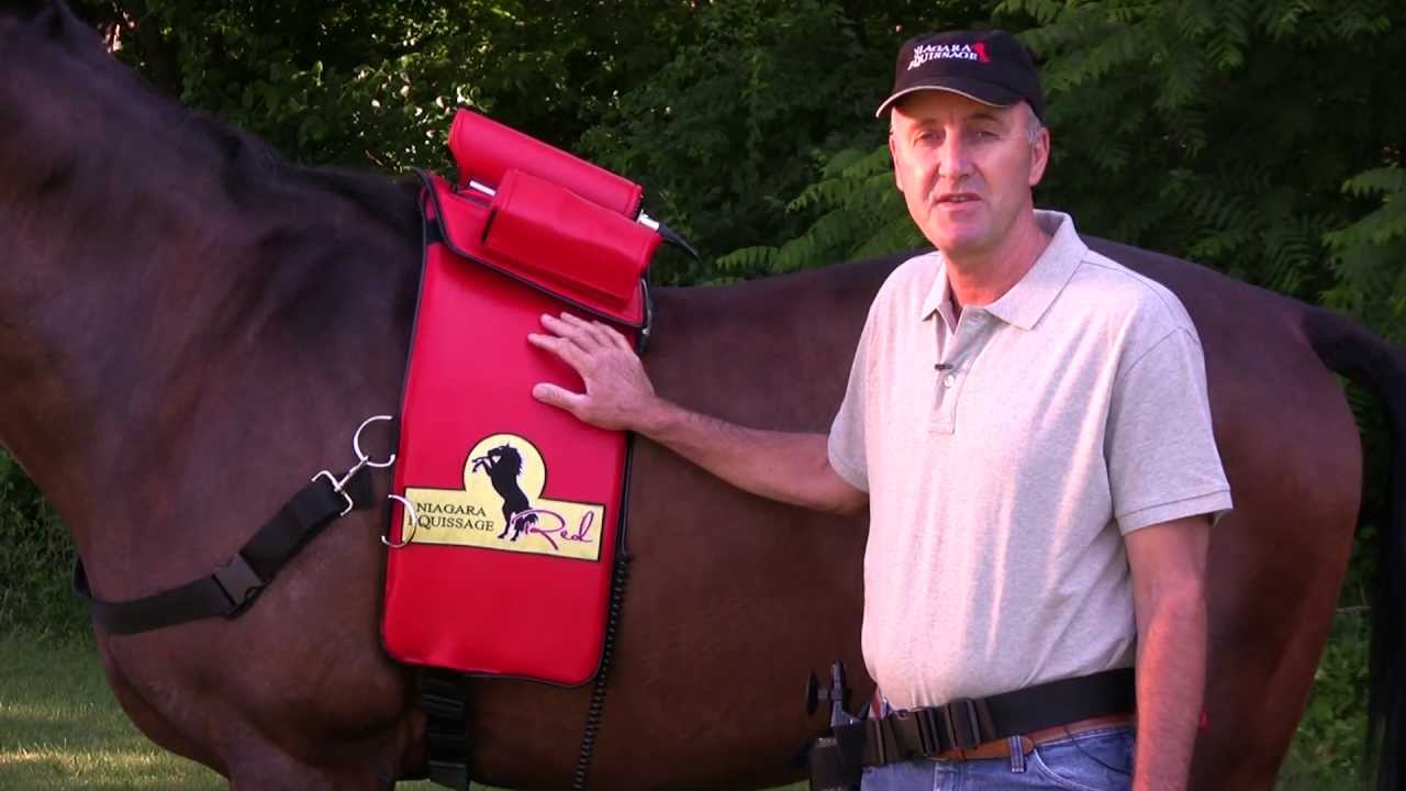 Understanding "Cycloid Vibration Therapy" for horses - Niagara ...
