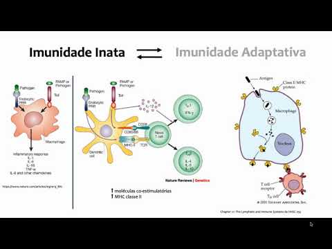 Resposta imune inata x adaptativa – Bárbara Salgado - YouTube
