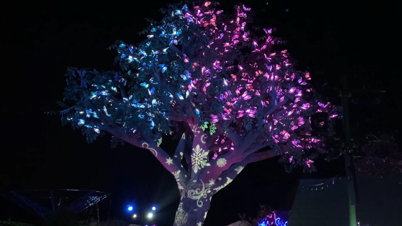 [4k] Wildwood Tree Light Show from Dollywood | Smoky Mountain Christmas ...