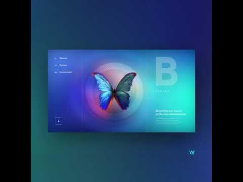 website design UI/UX Design Animation Examples For Inspiration - YouTube