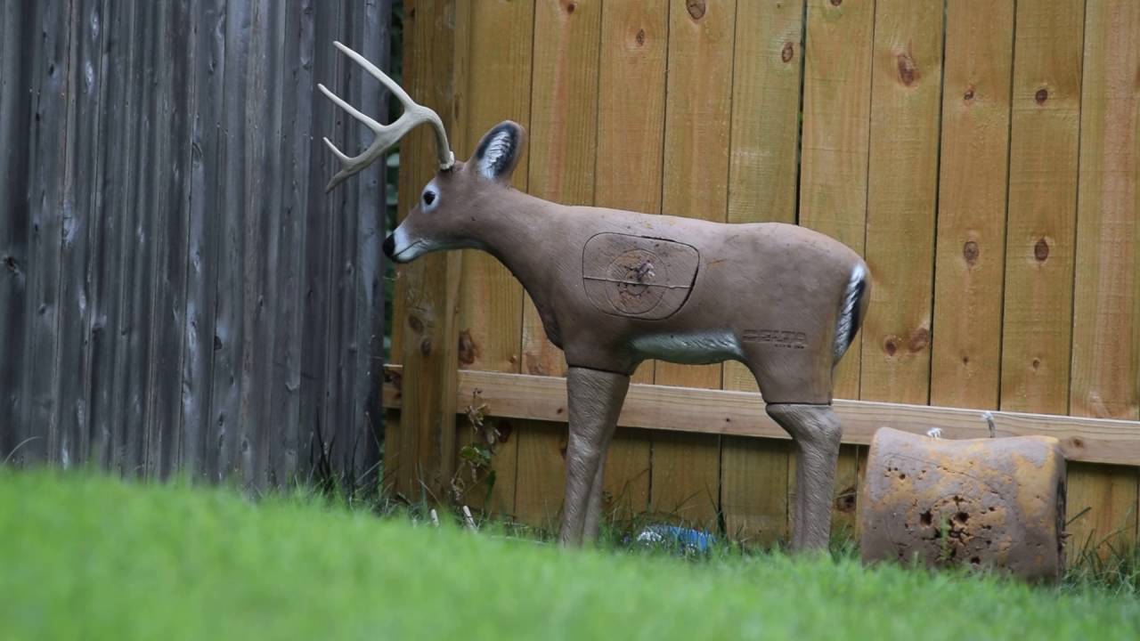 Hoyt Nitrum Turbo from 25 yards using Nikon D3300 - YouTube