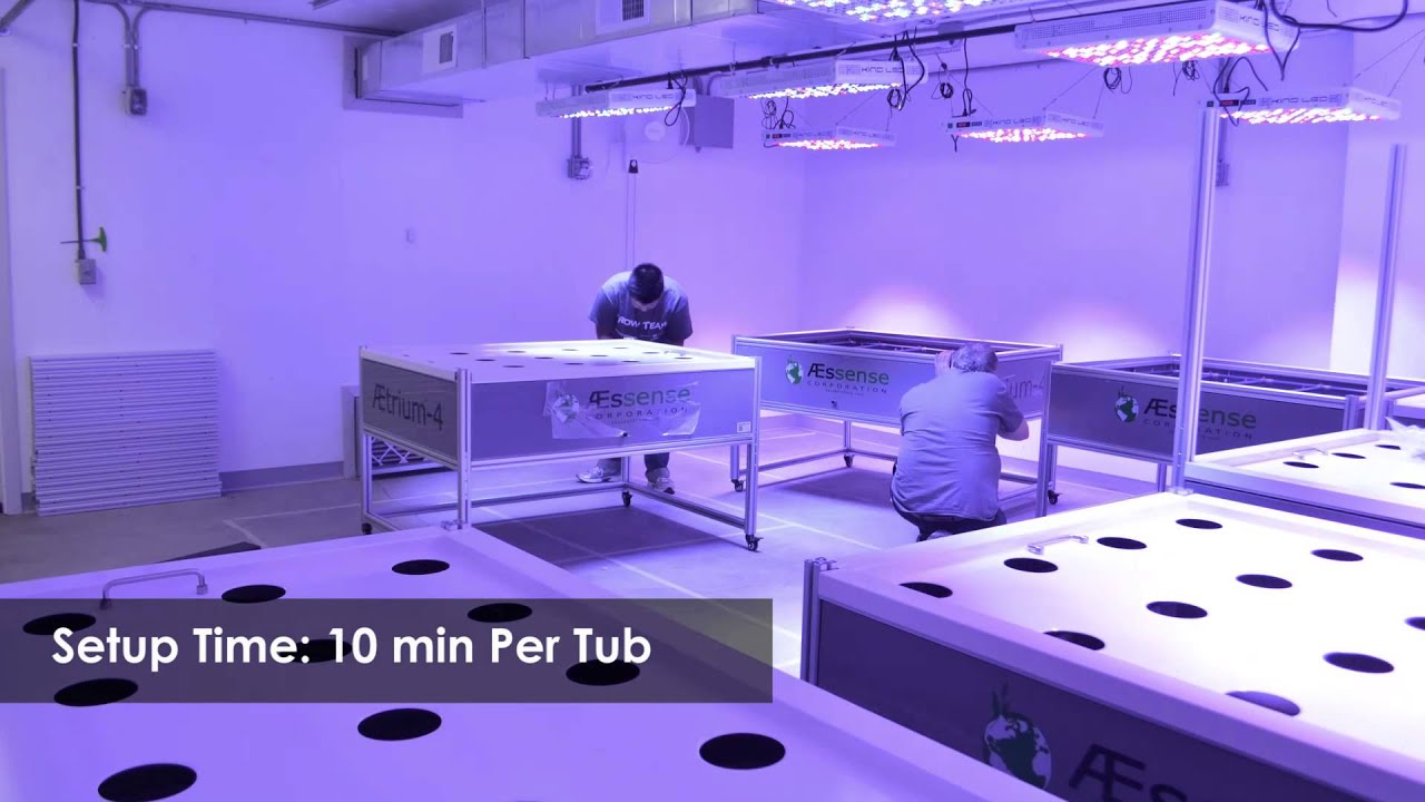 AEtrium-4 Commercial Grow Setup Timelapse - YouTube