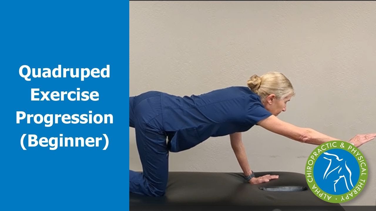 Quadruped Exercise Progression Beginner Youtube