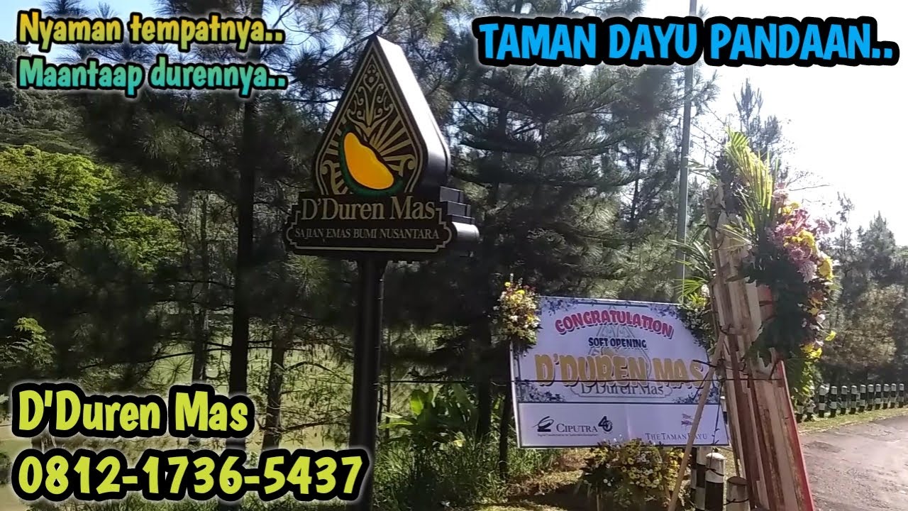 D'duren mas taman dayu pandaan pasuruan - YouTube