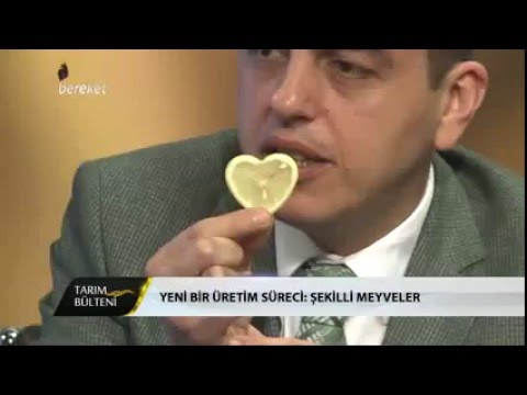 ismail yanarates  sekilli meyve  shapedfruit