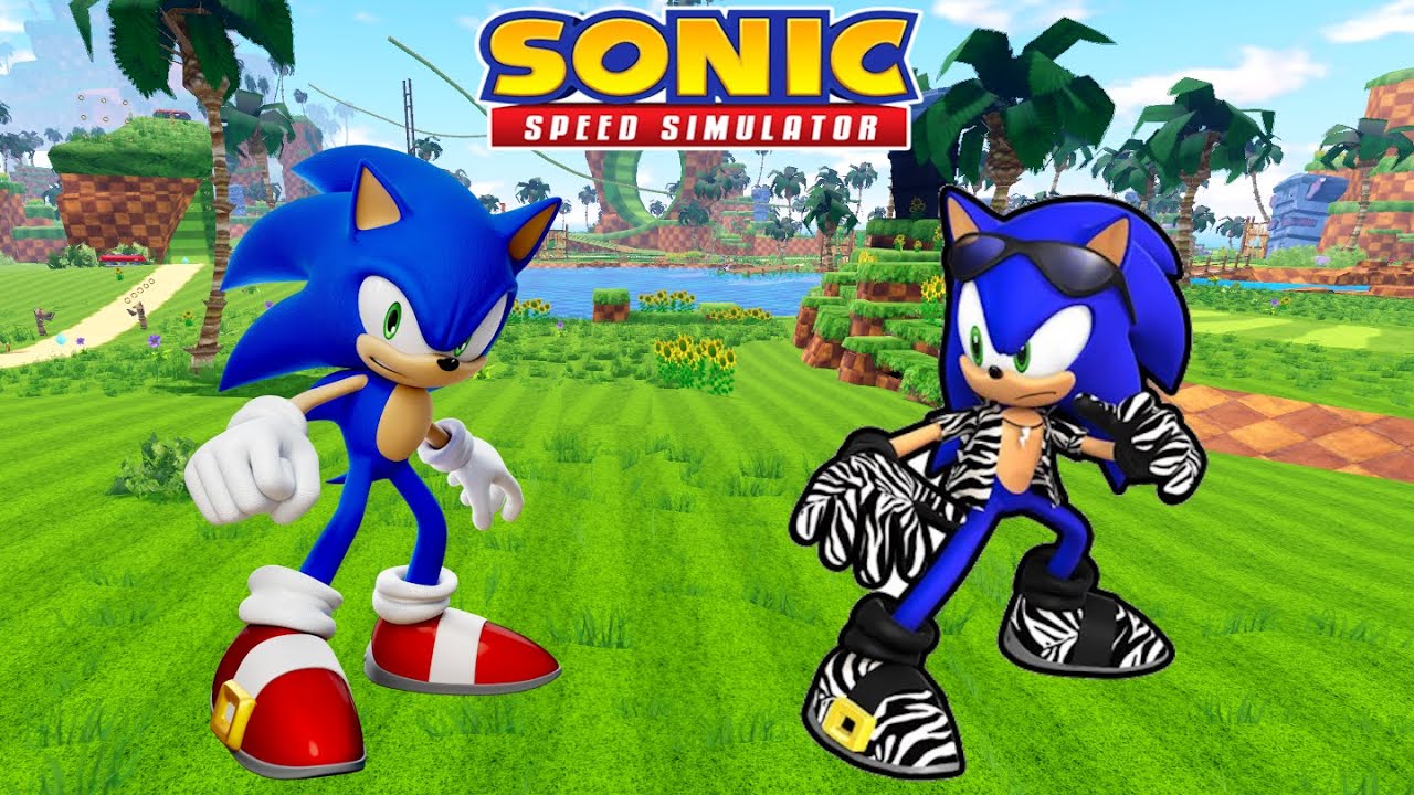 Sonic Speed Simulator Getting Zebra Sonic - YouTube
