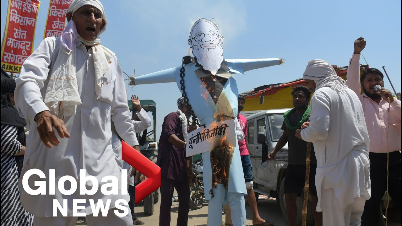 India farmers burn effigies of Modi to mark 6 months of agricultural reform protests