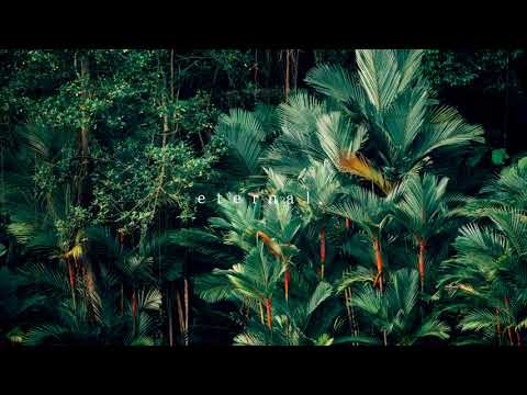 migos - narcos (slowed and reverb)