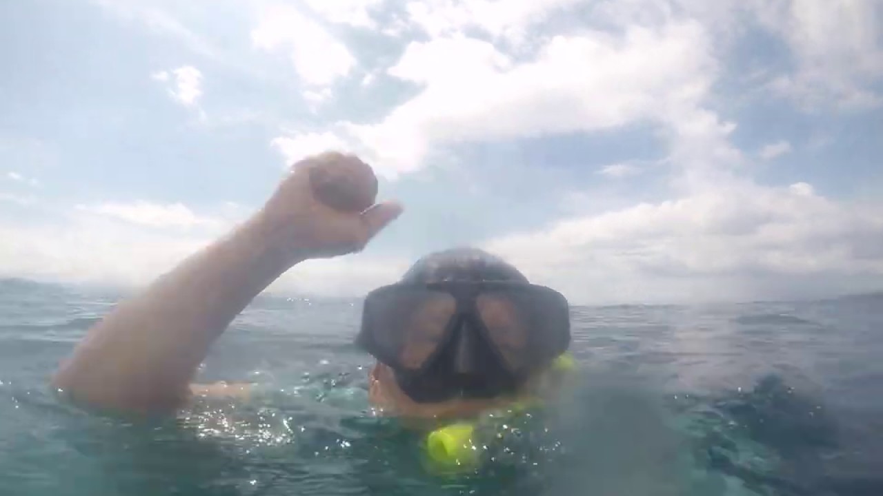 Warren H Pavilion Sea Aquarium 20 METERS DEEP & ABOUT 1,500 FEET FROM ...