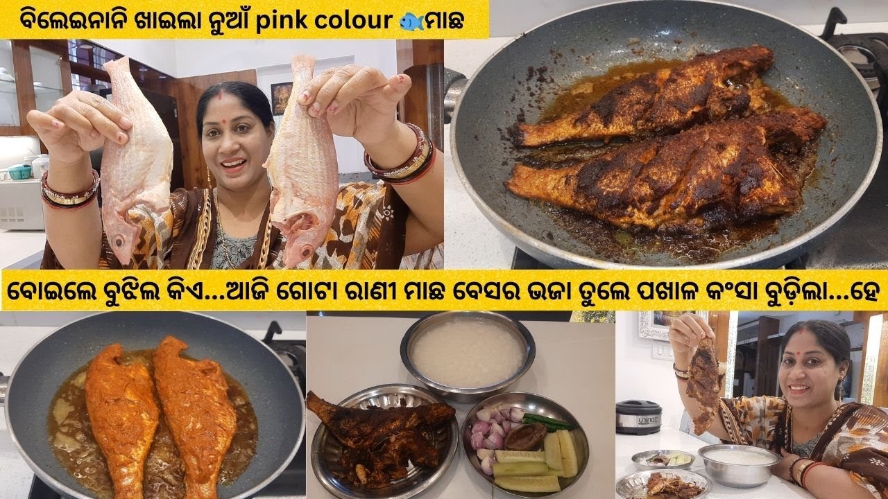 ରାଣୀ🐟Fish masala fry recipe/ମାଛ ଭଜା ତୁଲେ ପଖାଳ କଂସା ବୁଡ଼ିଲା/ବିଲେଇନାନି ...