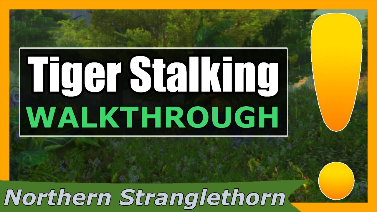 Tiger Stalking | WoW Northern Stranglethorn Quest Guide - YouTube