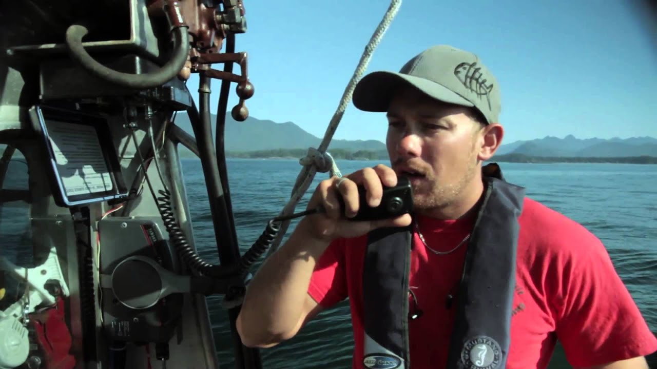 Harvesting Geoduck - YouTube
