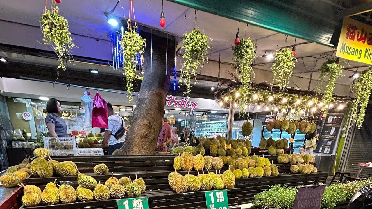 Durians Fruit Valley Miri City #durian #kampungdurian #localdurian # ...