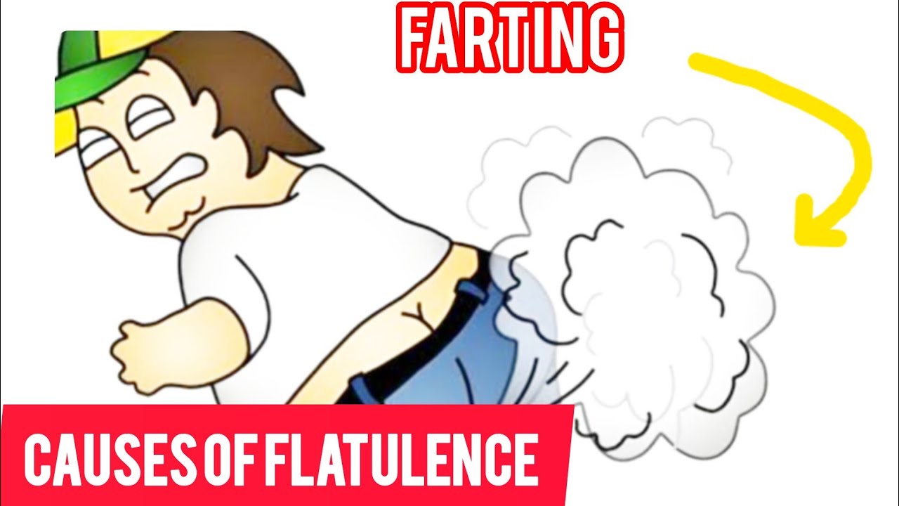 HOW TO STOP FLATULENCE (Farting). - YouTube