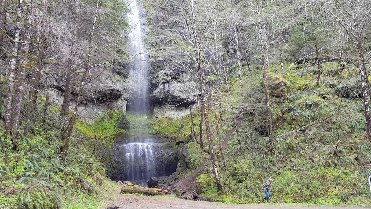 Kilchis Falls, Oregon - YouTube