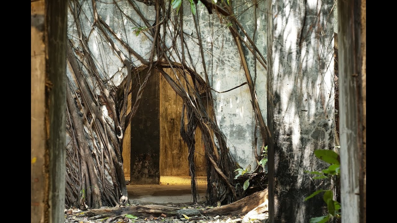 Rumah Akar, Jakarta, Indonesia - YouTube