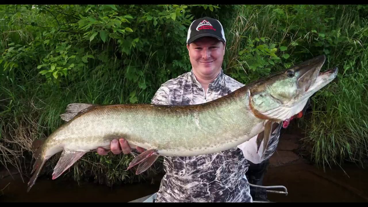 Top Water Musky Eat! Using The Lake X Fat Bastard - YouTube