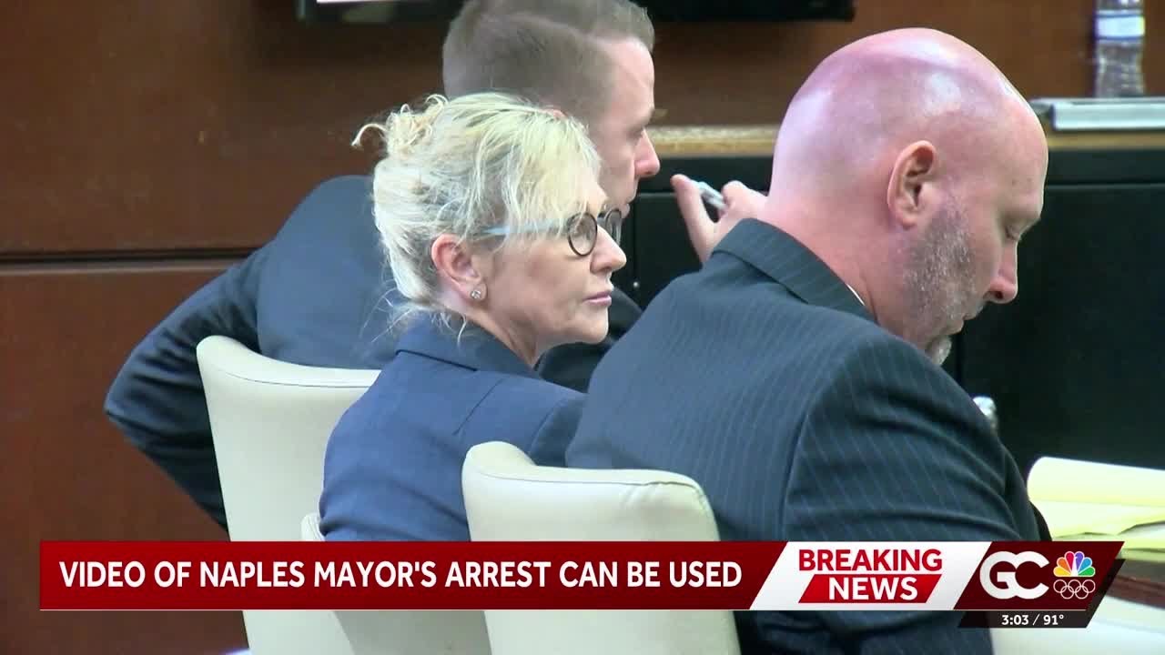 Naples Mayor Teresa Heitmann loses bid to suppress dashcam video in her ...