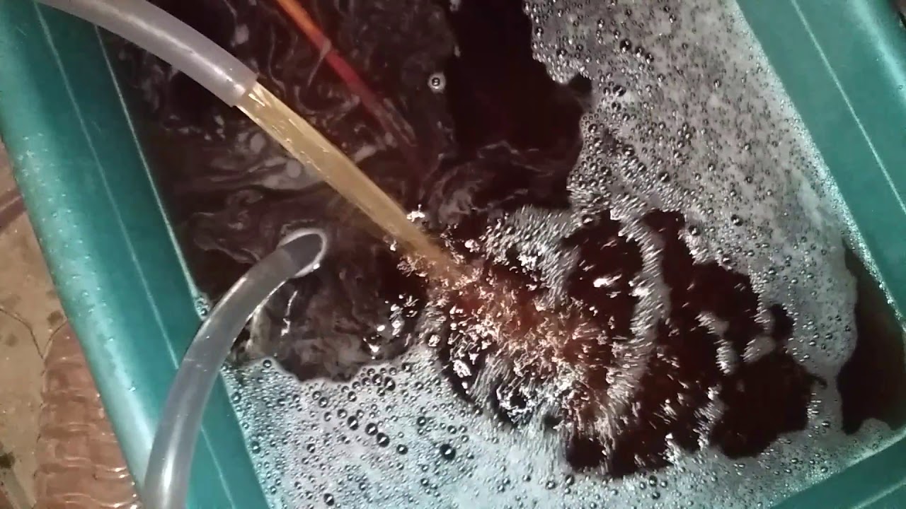 Filtrare vin alb după 4 luni de zile fără tratament - YouTube