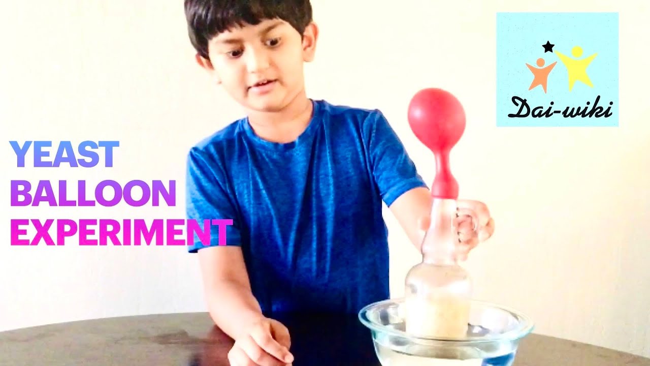 Yeast Balloon Experiment by Daiwiki || easy #kids #science #experiments ...