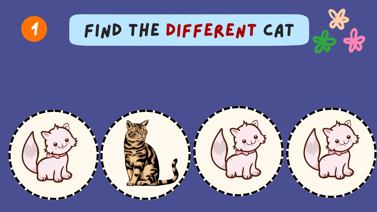 Find The Odd One Out | Pre-number concepts | Part 11 | Practice My ...