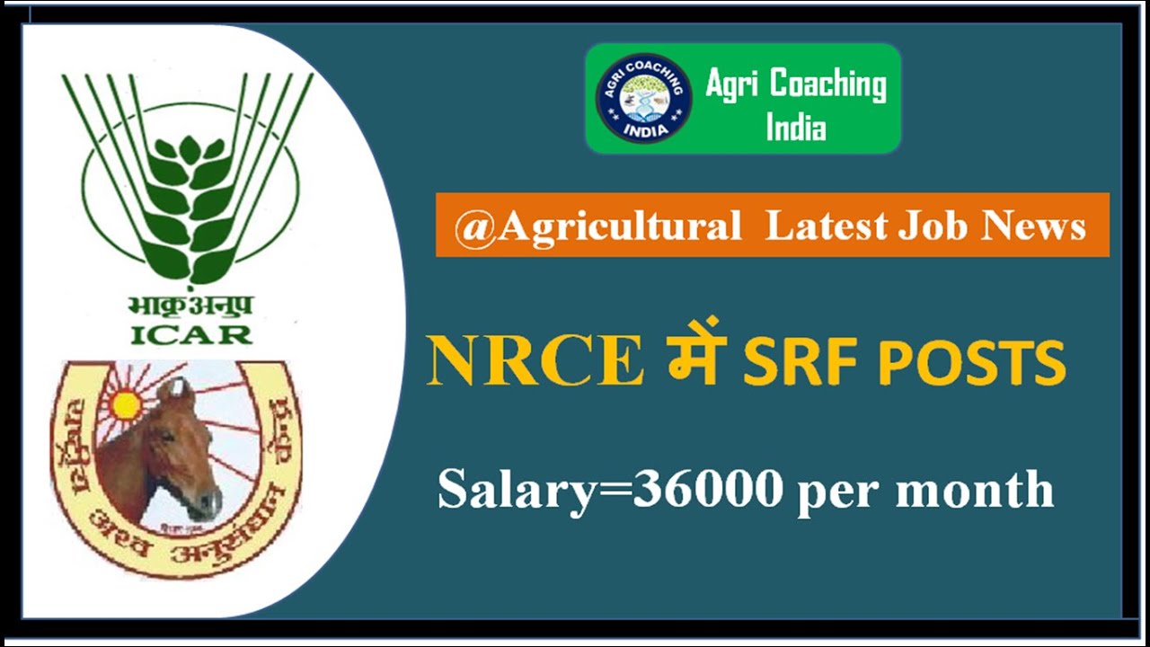 ICAR-NRCE, Hisar (Haryana) में SRF Job Notification 2022 ...