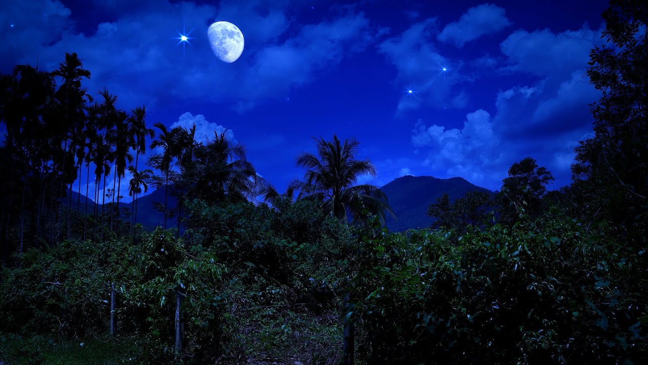 Peaceful Mountain Night Ambience | Crickets, Frogs and Nature Sounds ...
