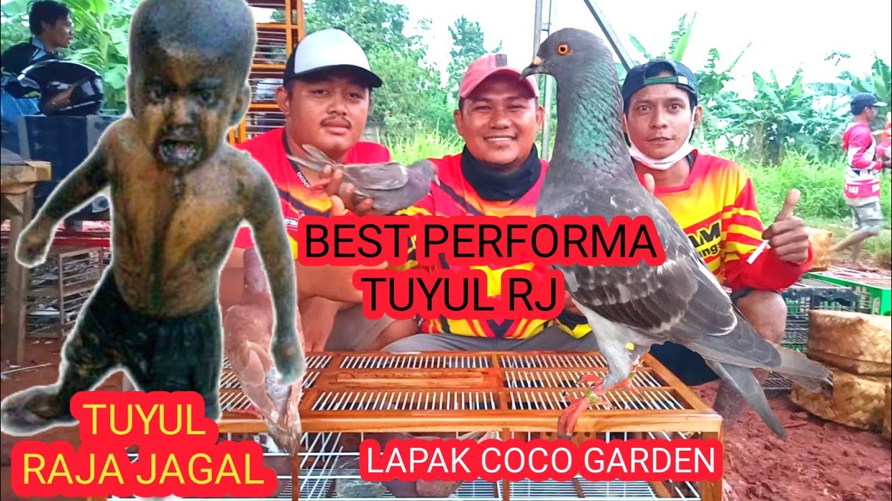 TUYUL TEAM RAJA JAGAL LAPAK COCO GARDEN KLAPANUNGGAL - YouTube