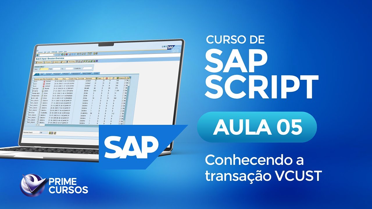 Aula 05 – Conhecendo a transação VCUST | SAP Script | Prime Cursos ...