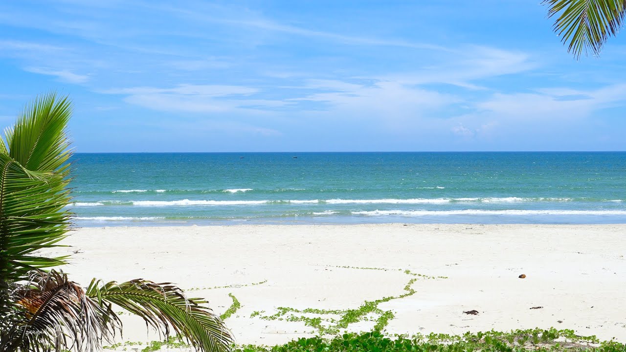 Relaxing Ocean Waves on a Tropical Beach - The Best Way to Sleep, Study ...