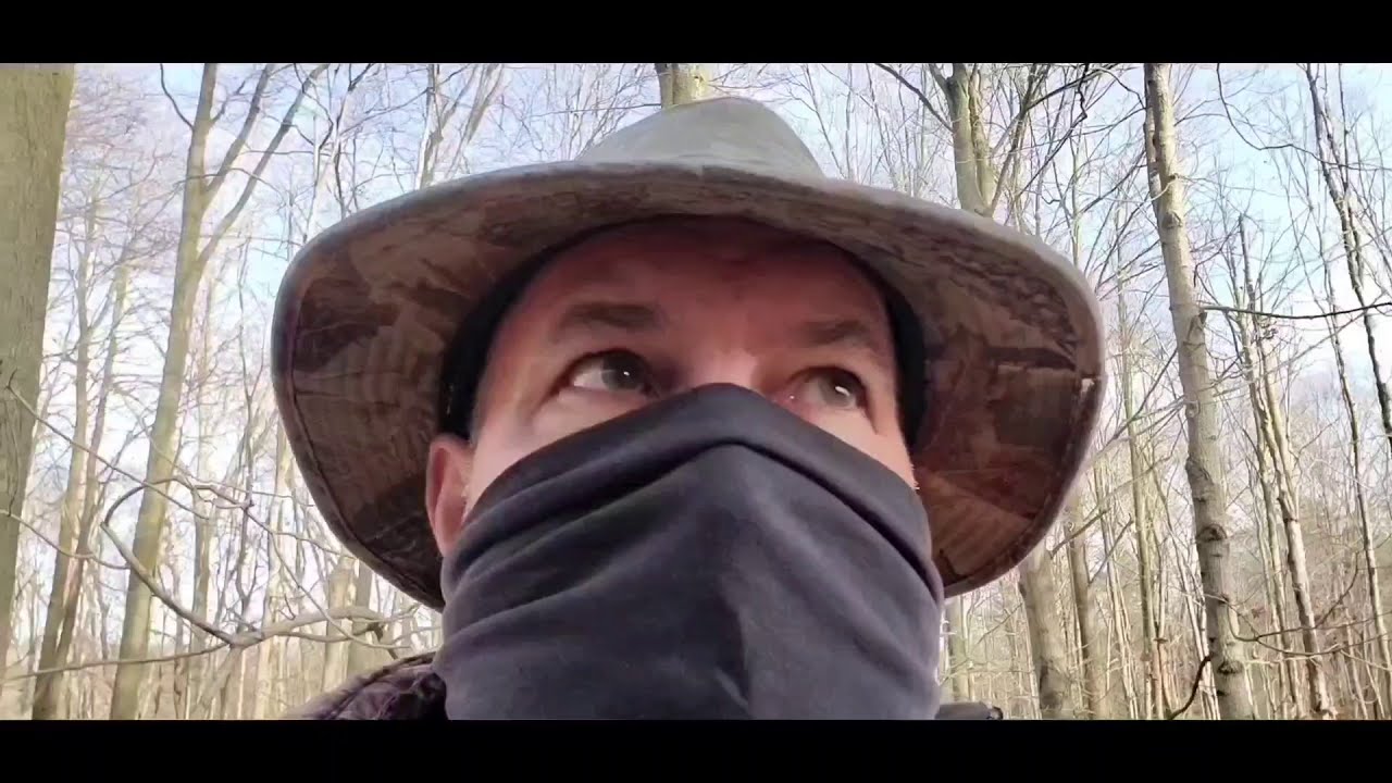 DIY two tether climbing system, tree saddle and saddle platform in use ...