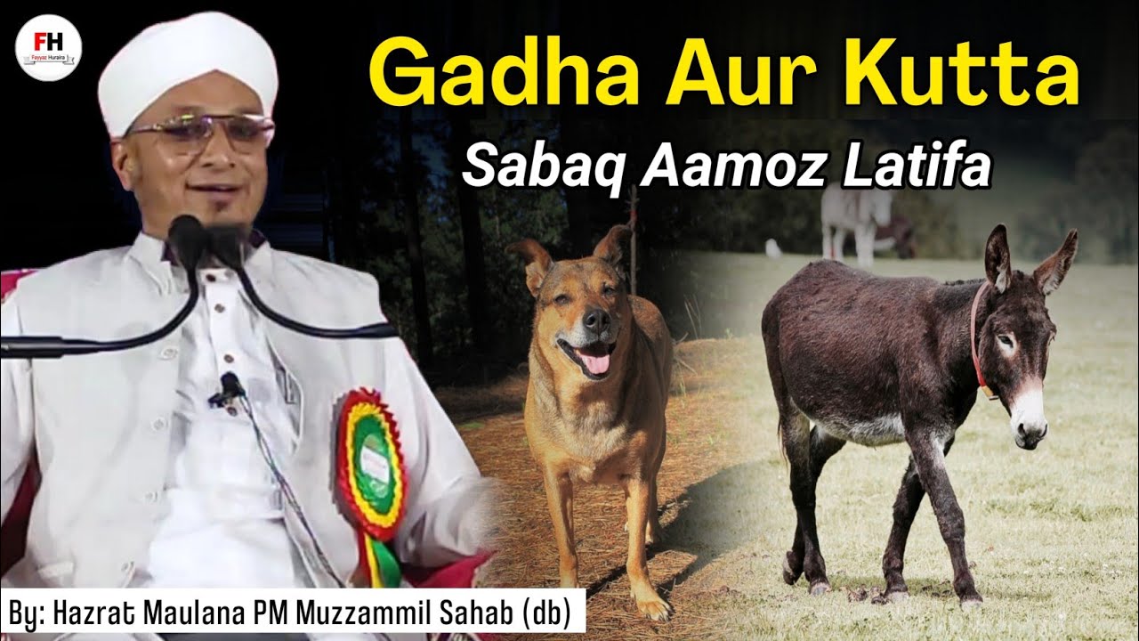 Gadha Aur Kutta | Sabaq Aamoz Latifa | Important Bayan | Hazrat Maulana ...