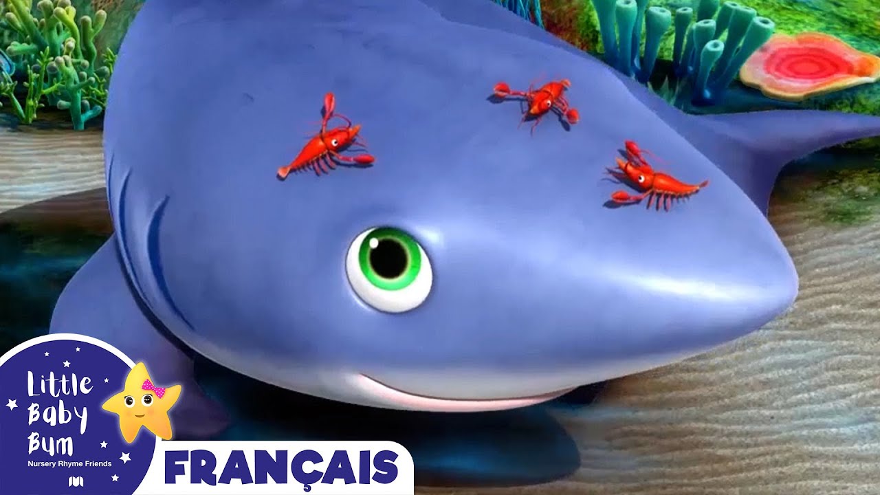 Bébé requin - Comptines et Chansons pour Bébés | Little Baby Bum en ...
