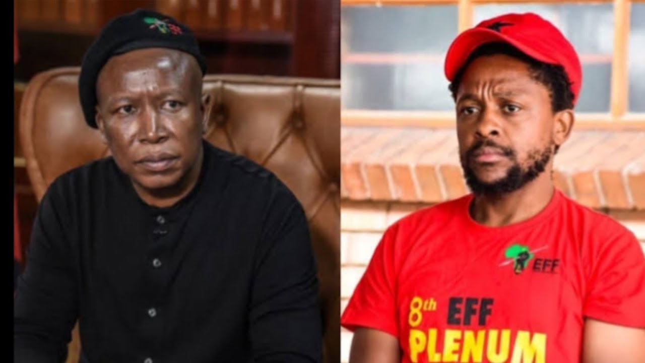 Dr Ndlozi speaks about the spaza shops issue - YouTube