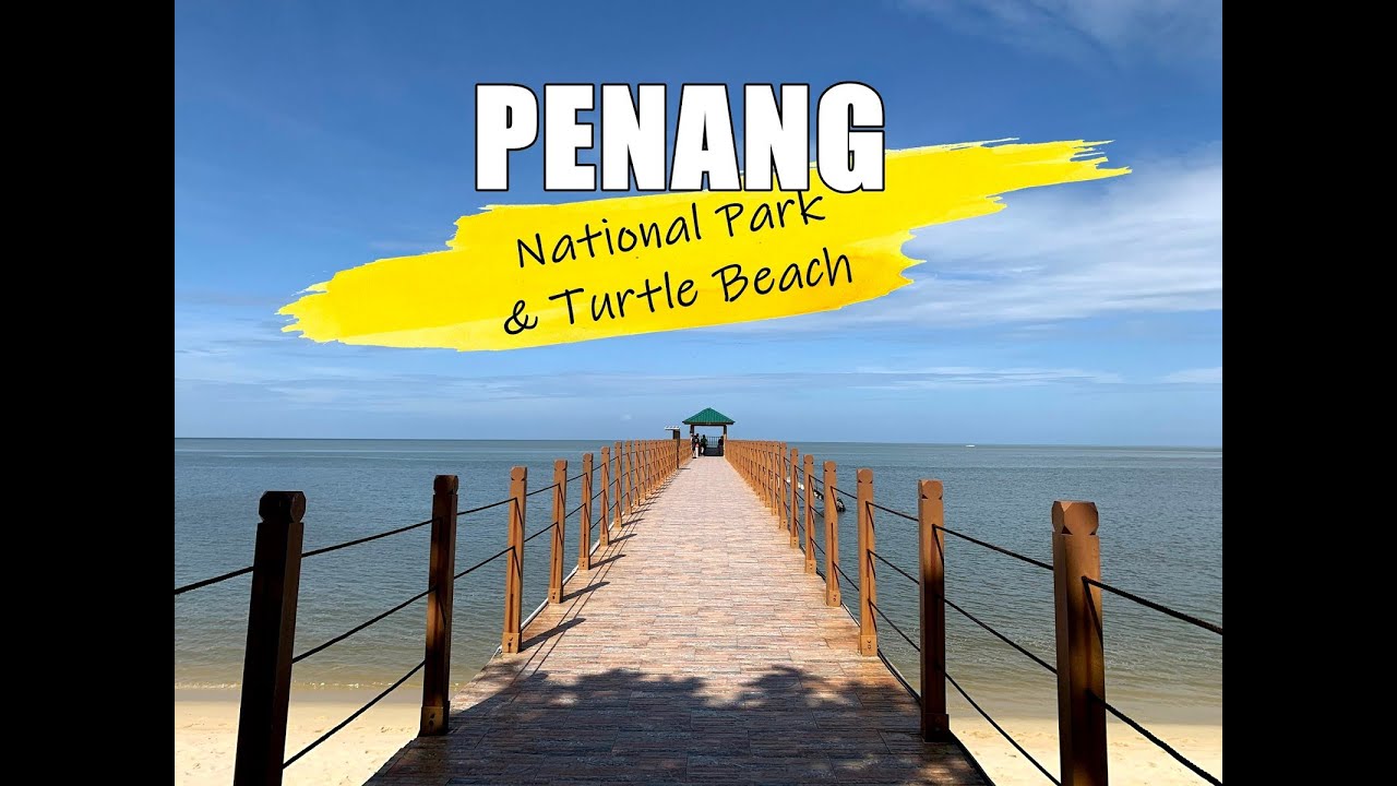 Penang Turtle beach in Malaysia - YouTube