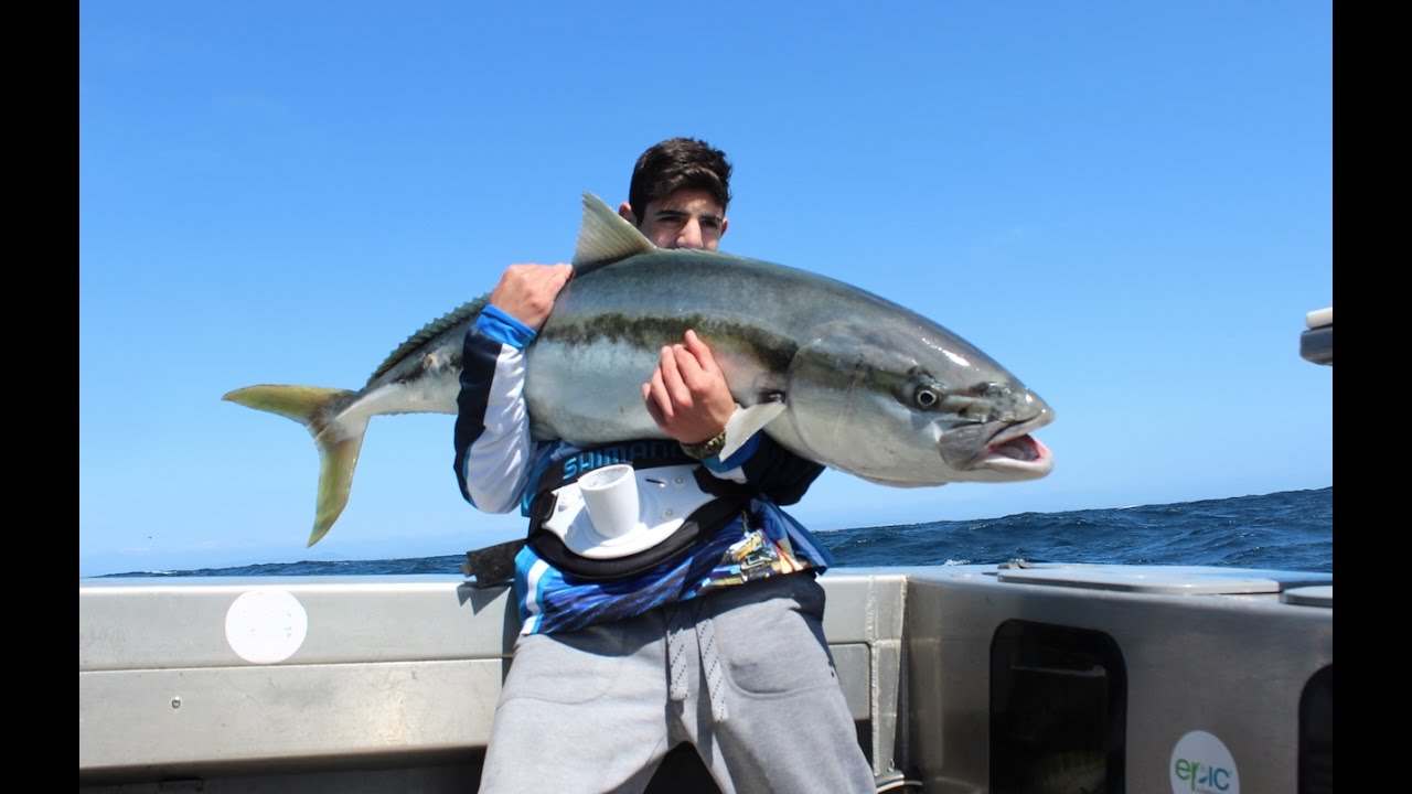 Monster Kingfish in New Zealand - Next Gen Fisho's - YouTube