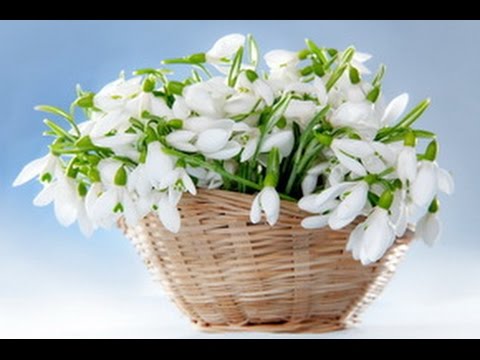 Cum realizăm în 5 minute un coșuleț cu Ghiocei Handmade - YouTube