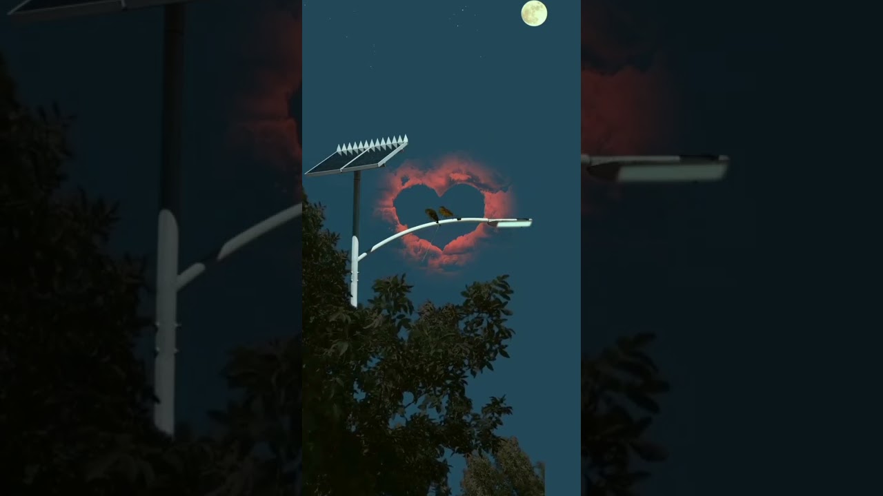 beautiful sinri ! now video ! Sidhu saad ! latest punjabi video 2021# ...