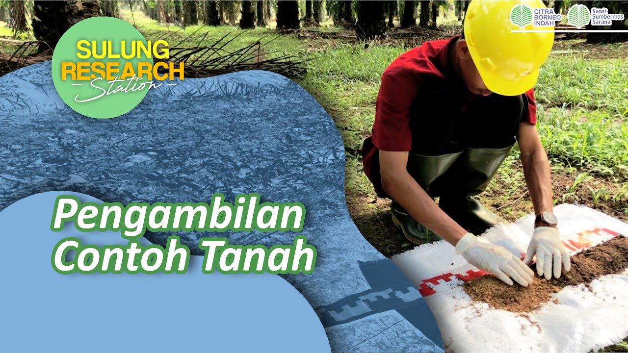 Pengambilan Contoh Tanah - YouTube