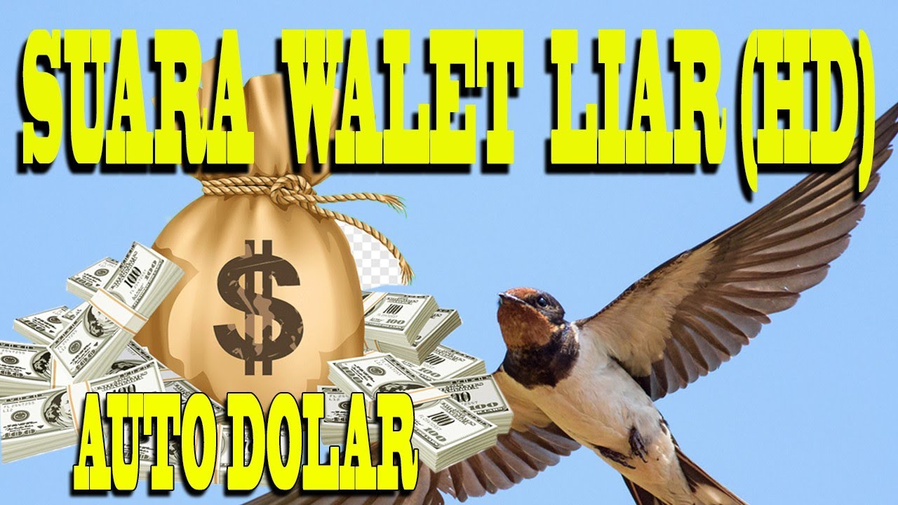 Suara panggilan Burung Walet liar Jitu || Telaga Dewa SF - YouTube