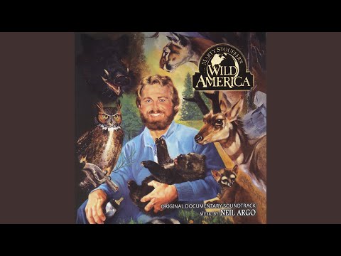 Neil Argo – Wild America (2015, CD) - Discogs