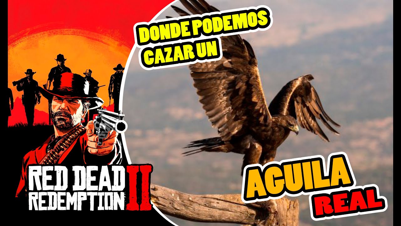 CAZANDO * ÁGUILA REAL * LOCALIZACIÓN EN RED DEAD REDEMPTION 2 | RDR2 ...
